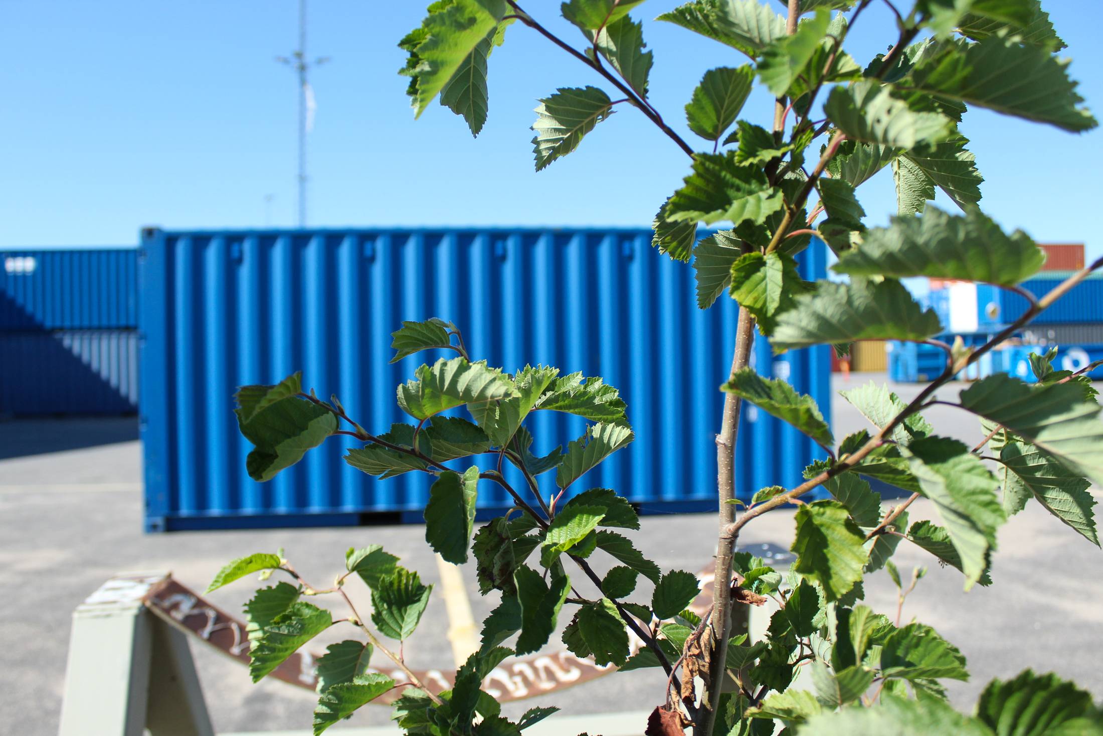 Environmental Awareness | MC Containers